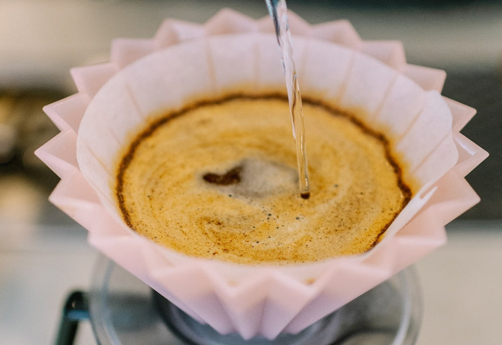 OZO Coffee Home Brew Guides | Brew Café Quality Coffee – OZO Coffee ...