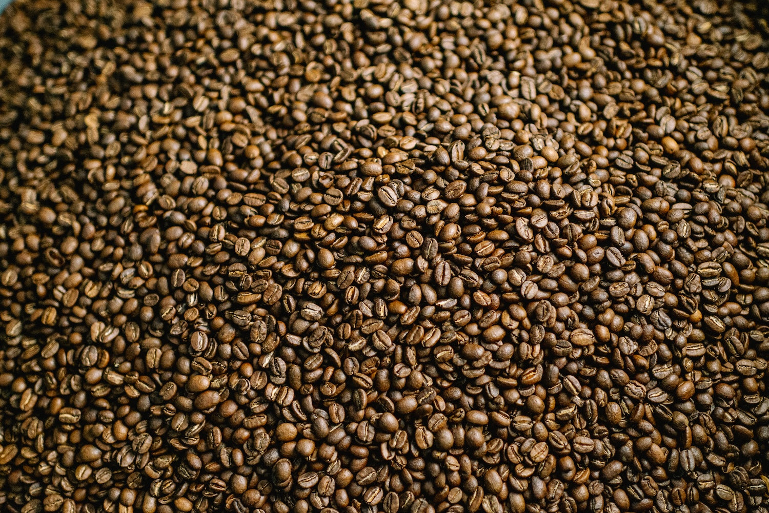 How to Store Coffee Beans to Keep Them Fresh – OZO Coffee Roasters