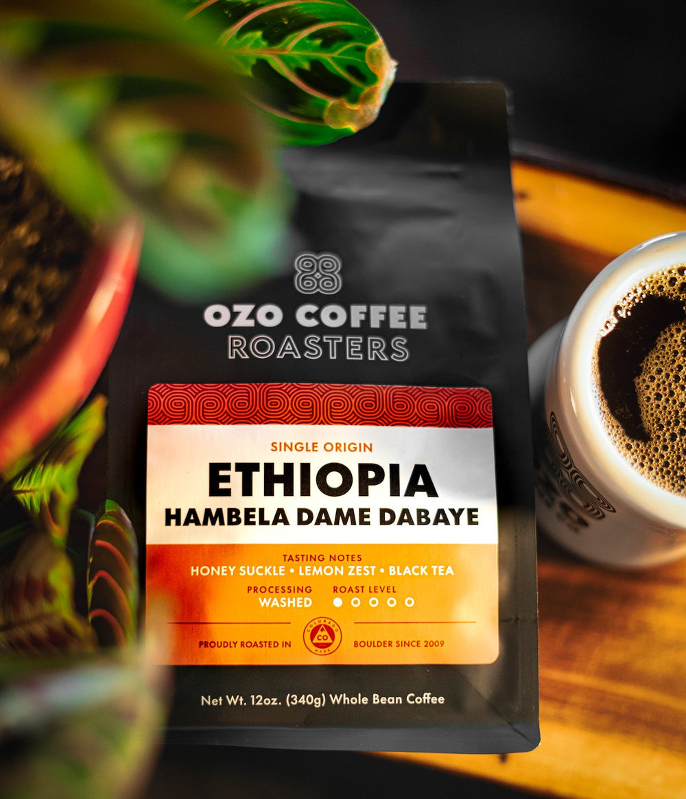 OZO Coffee Roasters | Freshly Roasted | Specialty Coffee Online